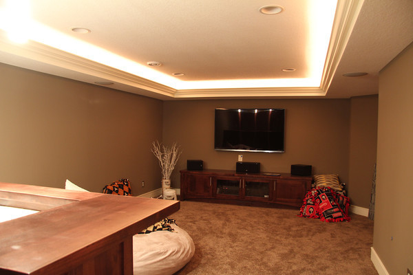 Entertainment Room - Contemporary - Basement - Minneapolis - by Stoic ...