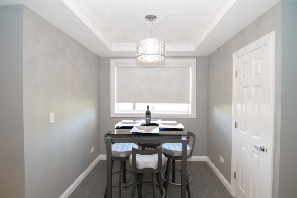 Hawthorn Woods Basement Remodeling - Modern - Basement - Chicago - by ...