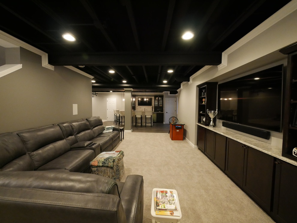 Hawthorn Woods, IL Project - Contemporary - Basement - Chicago - by ...