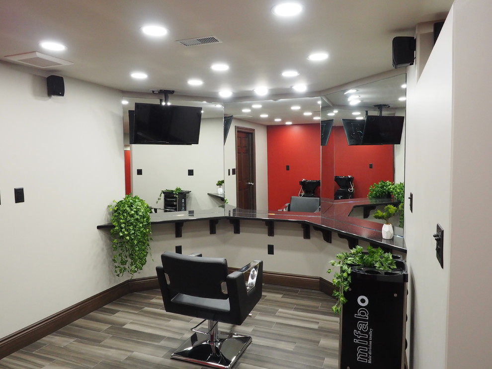 In Home Salon - Modern - Basement - Toronto - by Elora Contracting | Houzz