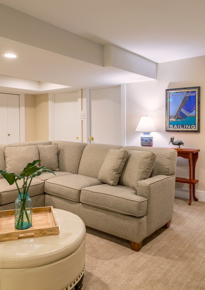 Lake Michigan Inspired Basement - Beach Style - Basement - St Louis ...