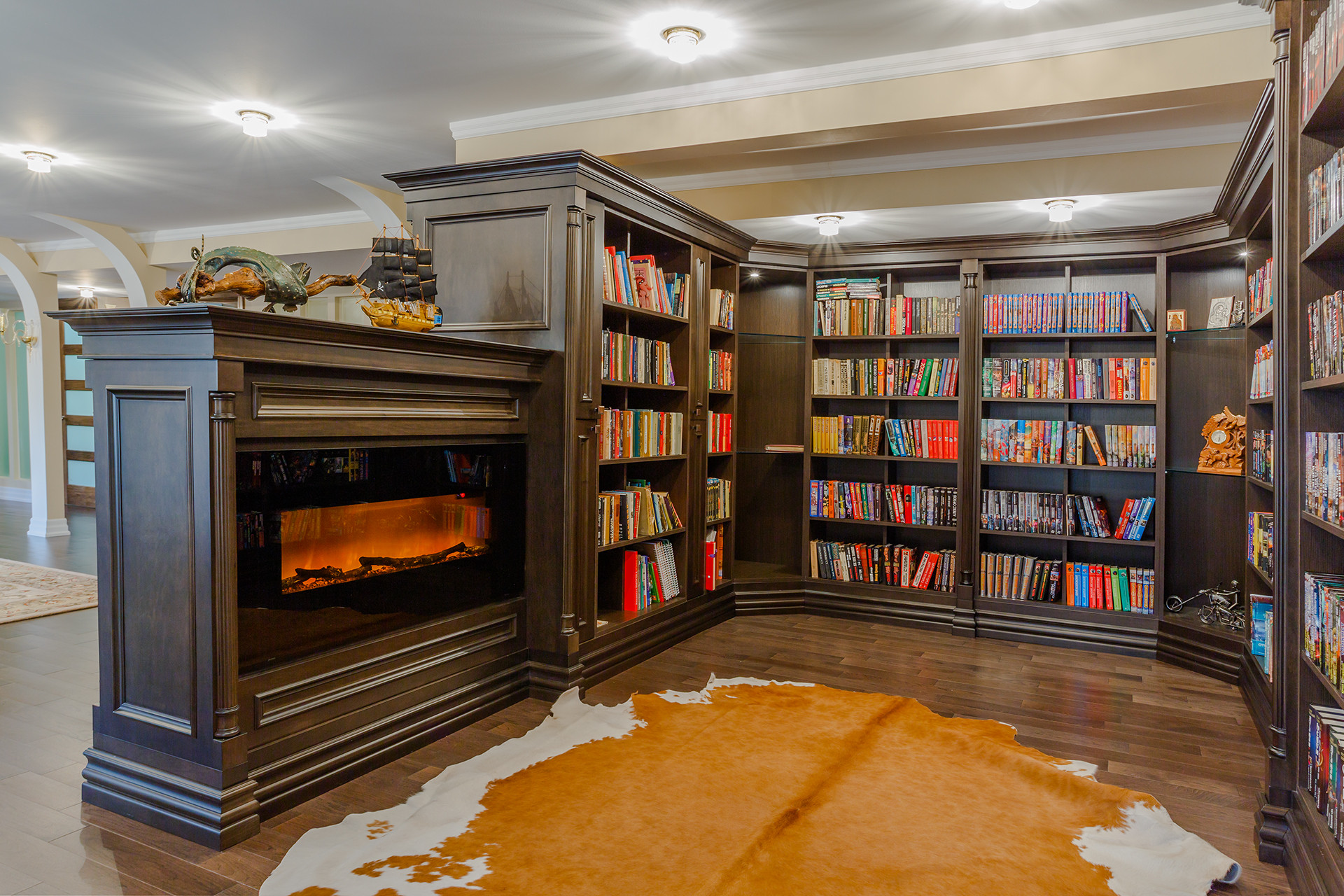 Basement Fireplace Library