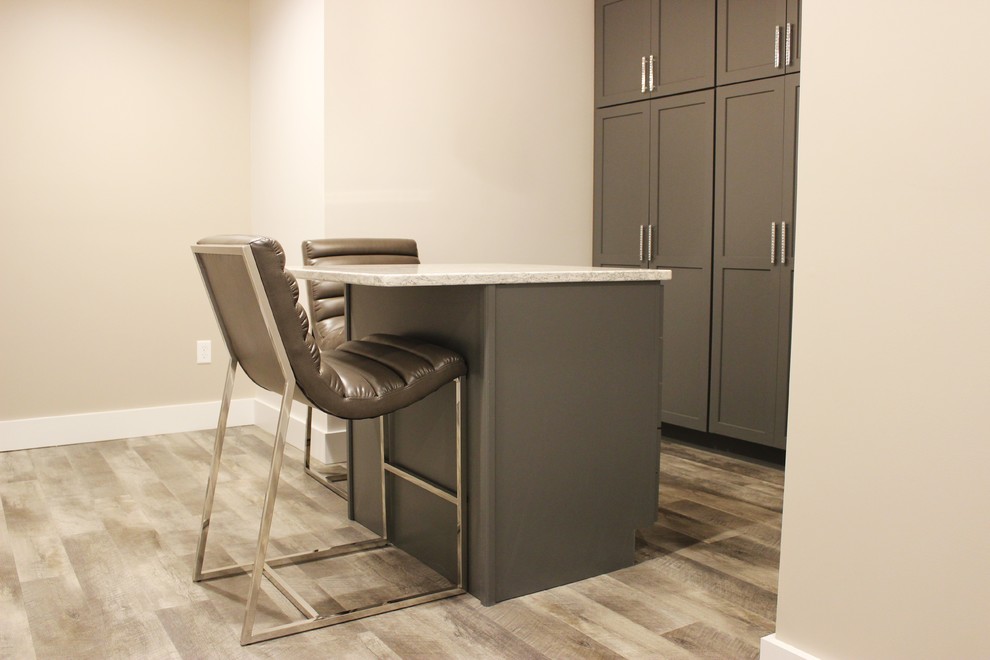 Lower Level Remodel With Home Bar, Spa-like Suite, Craft Room , and ...