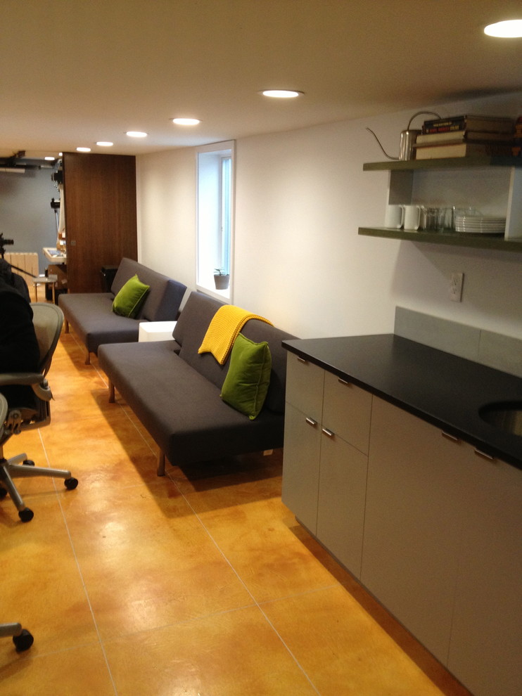 Madison Mid-century Modern - Modern - Basement - New York - by Codfish ...