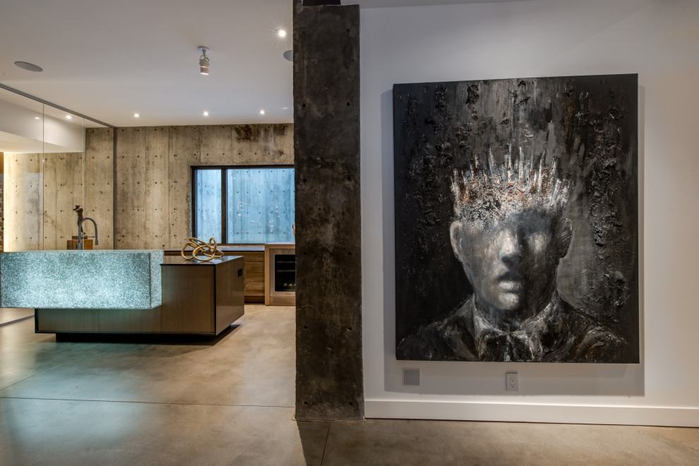 Modern Home - Modern - Basement - Denver - by Teri Fotheringham ...
