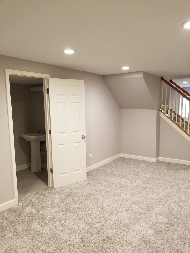 Naperville Basement - Traditional - Basement - Chicago - by DJI ...