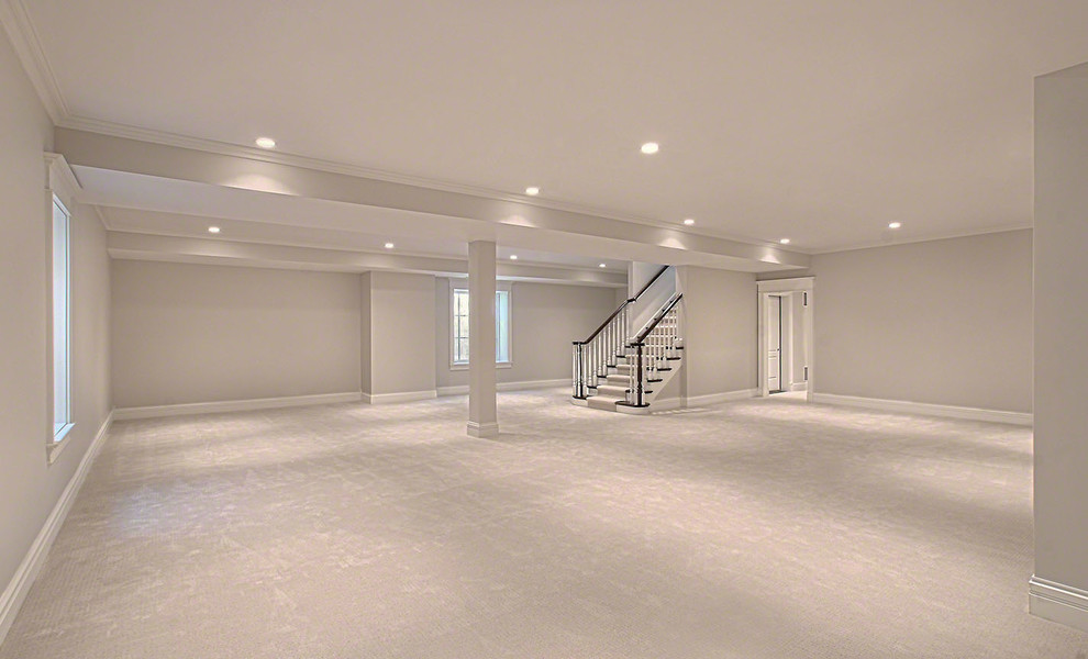 New Custom Home in Glenview - Traditional - Basement - Chicago - by ...
