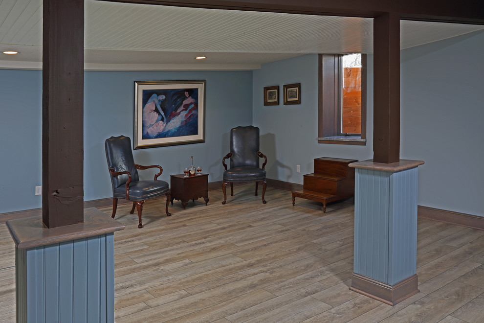 Open floorpan with egress window - Traditional - Basement - Minneapolis ...