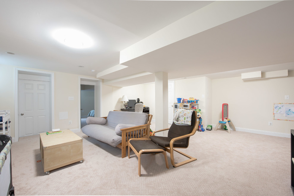 Reno Road Addition - Midcentury - Basement - by Alair Homes Arlington ...