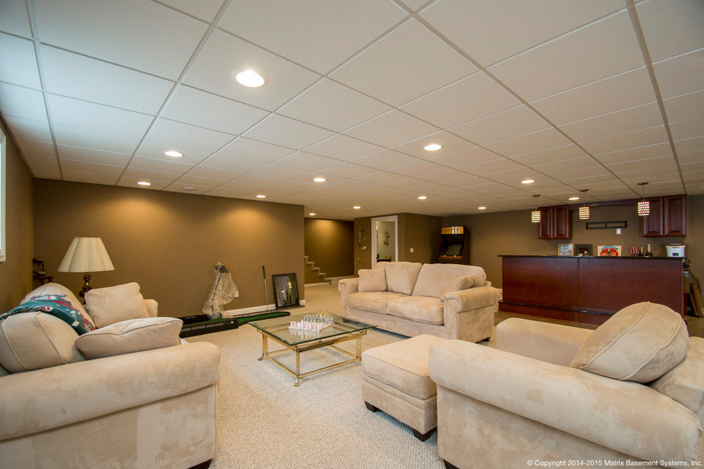 Soulierre Basement - Transitional - Basement - Chicago - by Matrix Home ...