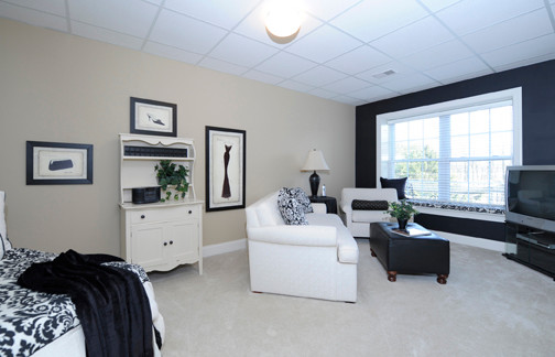 Staging and Redesign-Basement-Before & After - Traditional - Basement ...