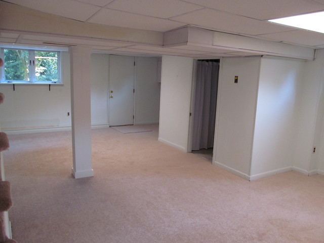 TOTAL RENOVATION INSIDE & OUT ! - Traditional - Basement - Nashville ...