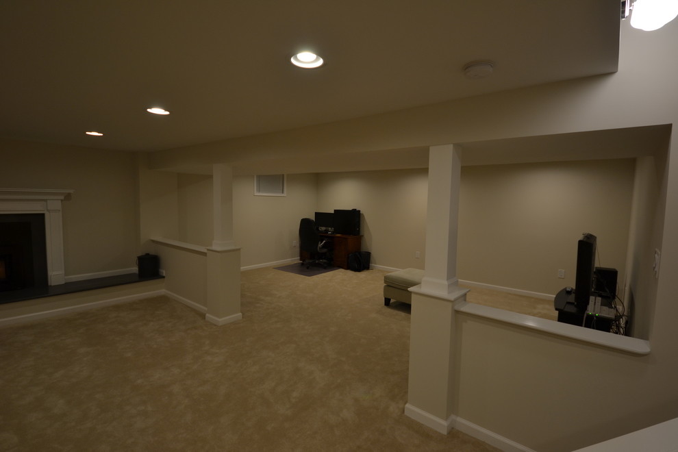Traditional Basement - Traditional - Basement - Other | Houzz