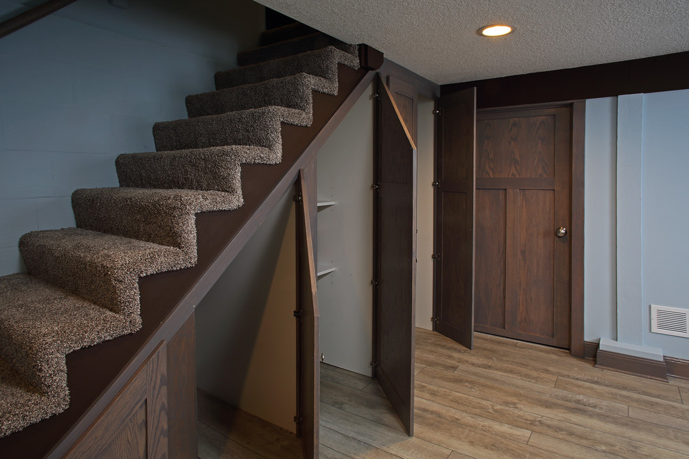 Under-stairs storage - Traditional - Basement - Minneapolis - by Wise ...