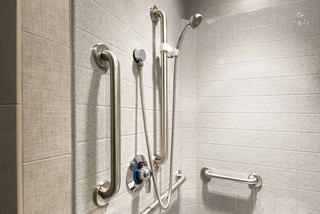 Fancy Shower Grab Bars