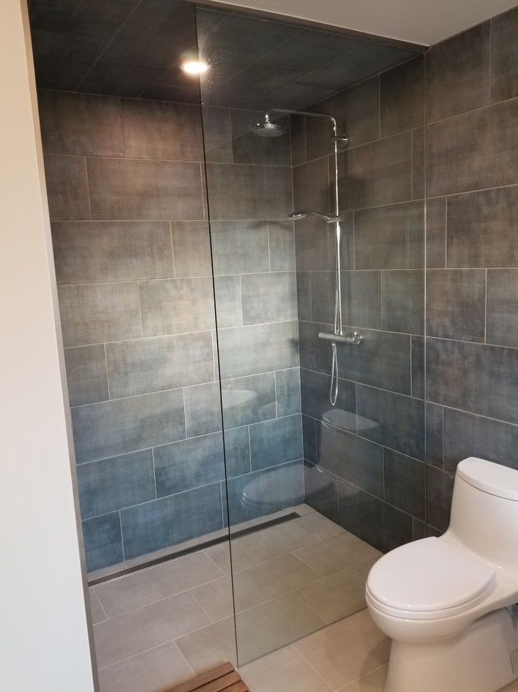 Chato Project - Transitional - Bathroom - Toronto - by Empire Design ...