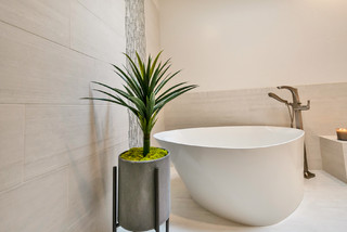 Contemporary Master Bathroom (Gilbert, AZ) - Contemporary - Bathroom ...