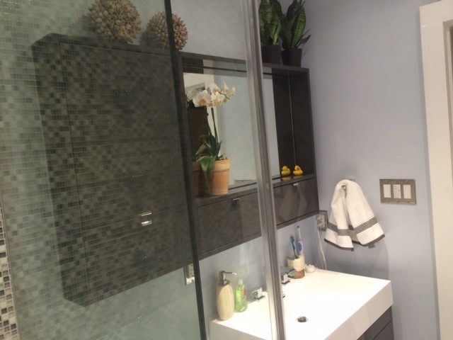 Ford Street - Project - Modern - Bathroom - Toronto - by Downtown Tile ...