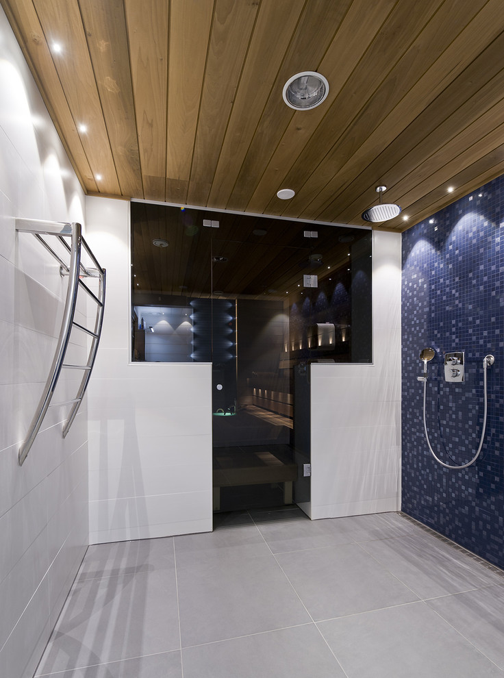 Swimming pool, shower room and sauna divided by glassdoors ...