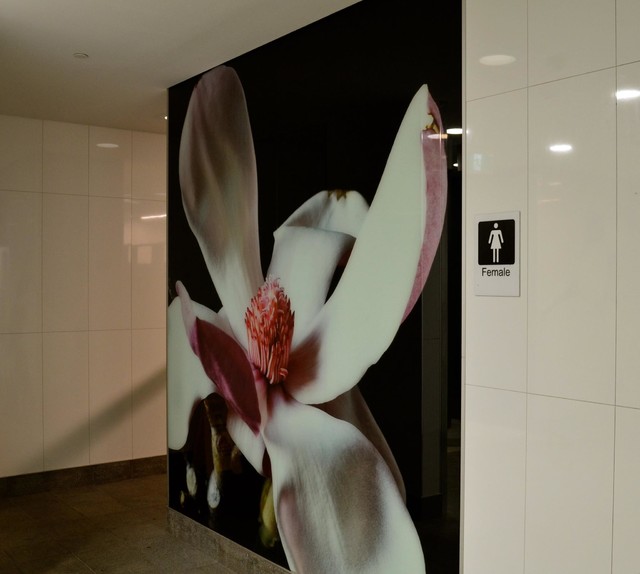 Westfield Shopping Centre Miranda - Modern - Bathroom - Sydney - by ...