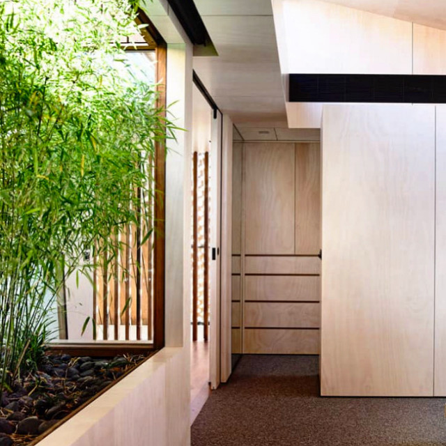 Beach House, Elwood | Nadia Gill Landscape Architect. Derek Swalwell ...