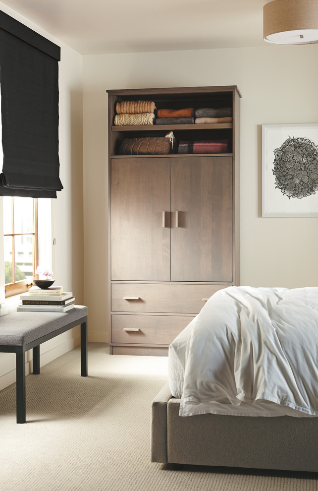 Linear Modular Custom Cabinet by R&B - Modern - Bedroom - Minneapolis ...