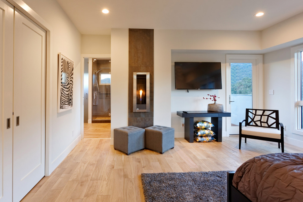 Master Bedroom - Contemporary - Bedroom - San Francisco - by Bekom ...