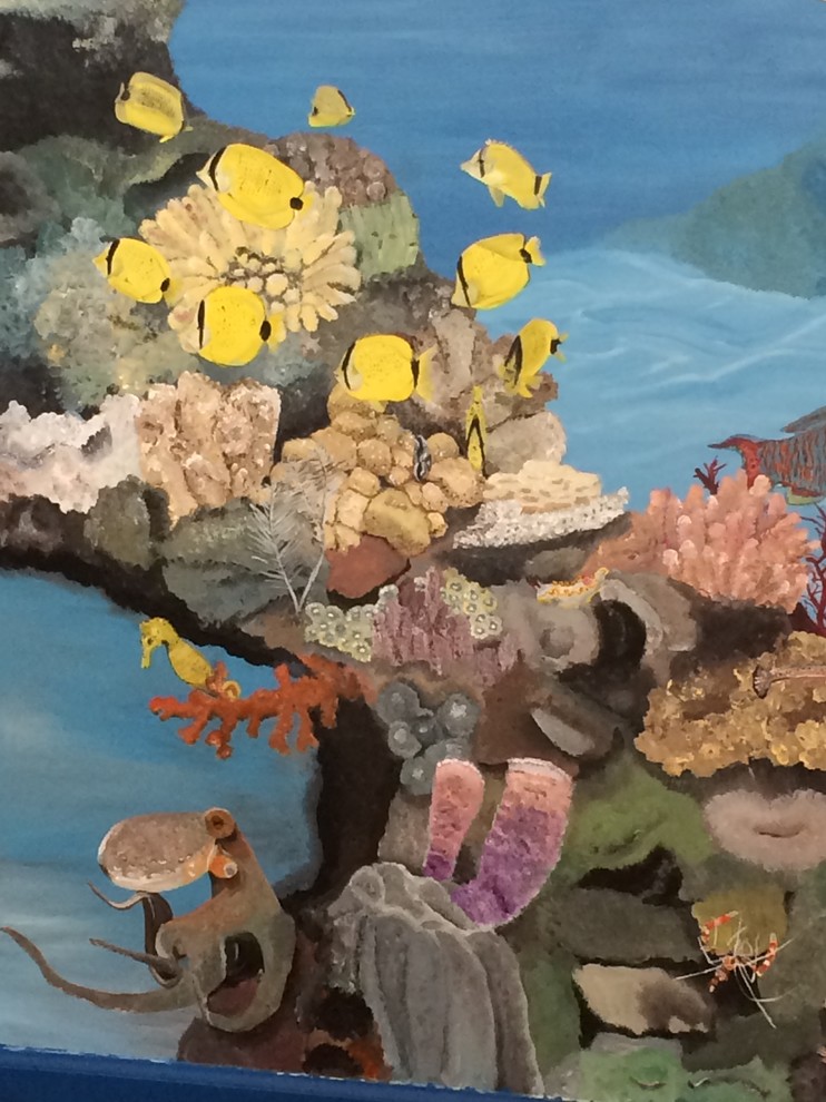 Ocean Coral Reef Mural - Bedroom - Chicago - by Life's Journey Murals ...