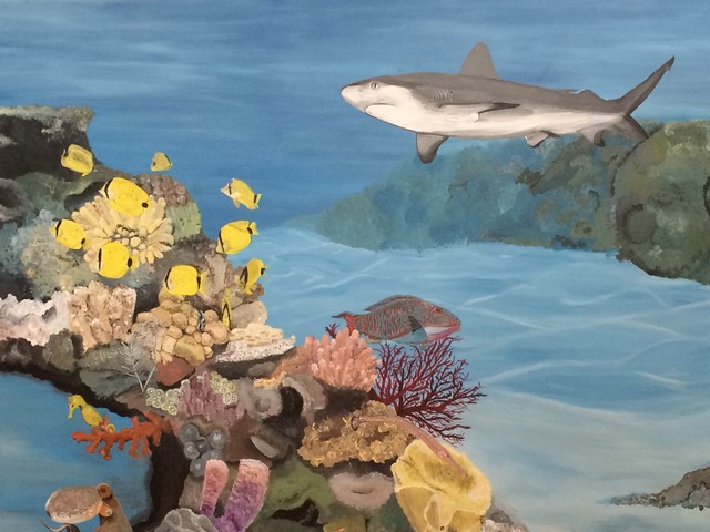 Ocean Coral Reef Mural - Bedroom - Chicago - by Life's Journey Murals ...