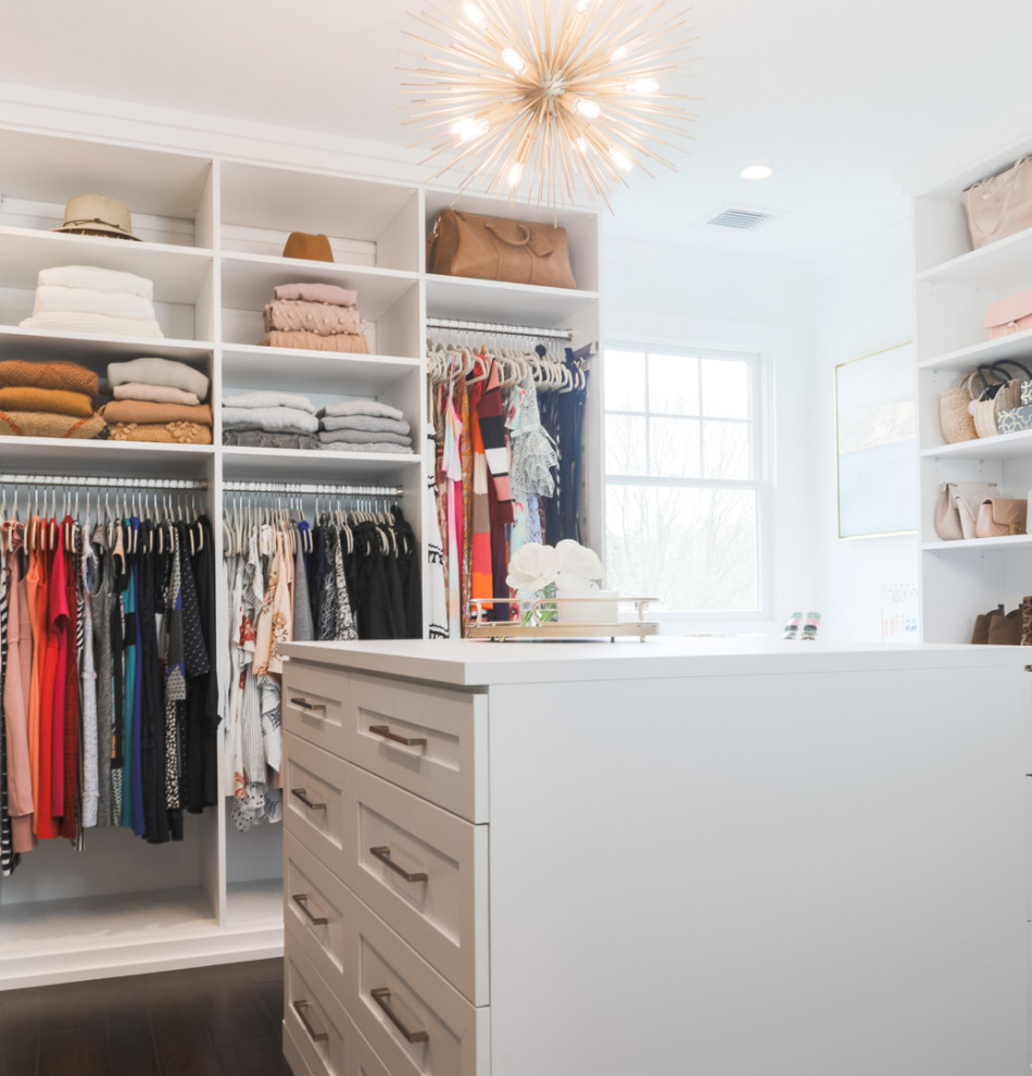 Fashion Blogger Masterpiece - Transitional - Closet - New York - by ...