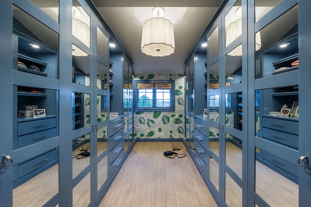 Luxury Closet Walk In Blue