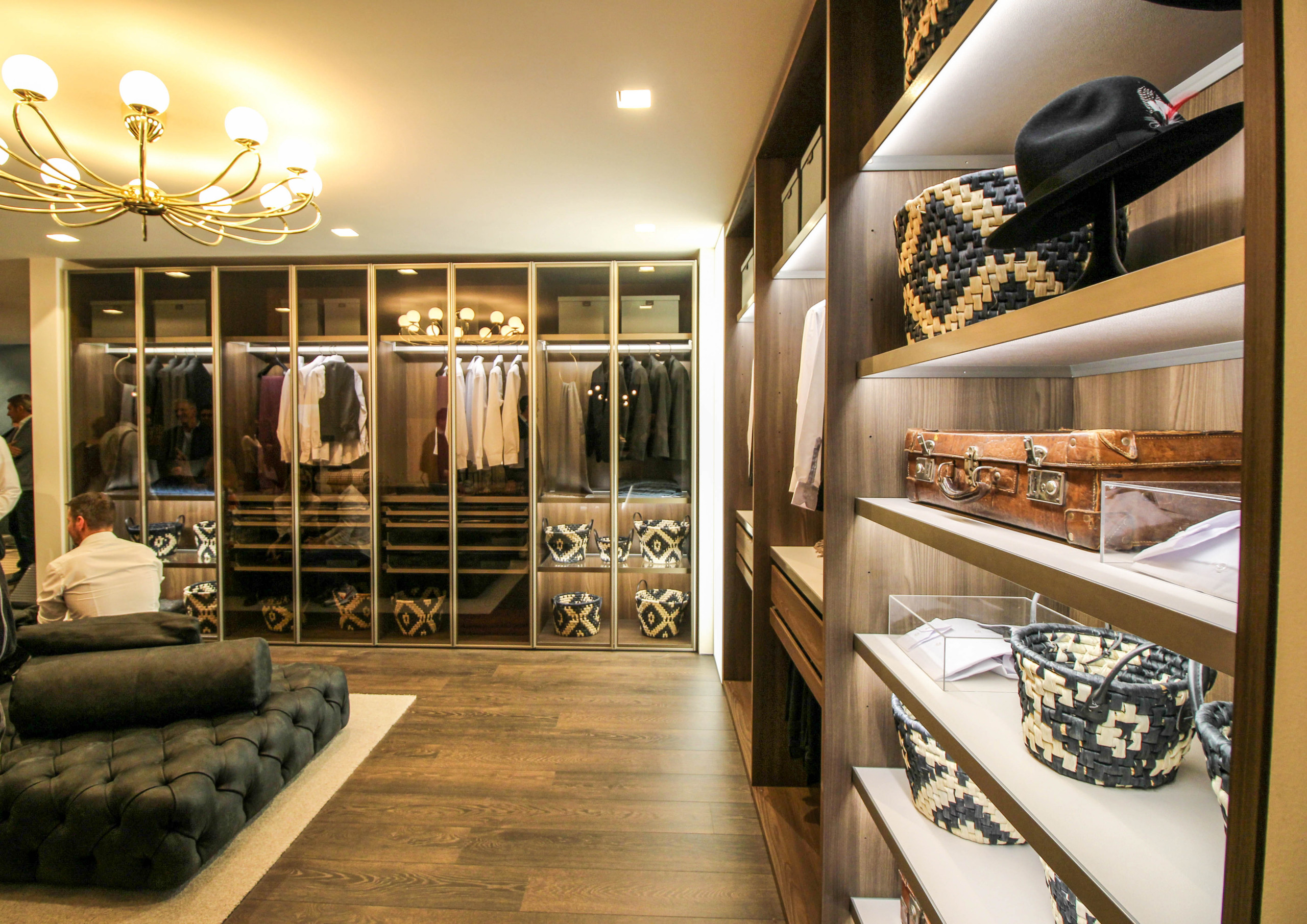 Glass Modern Closet Doors