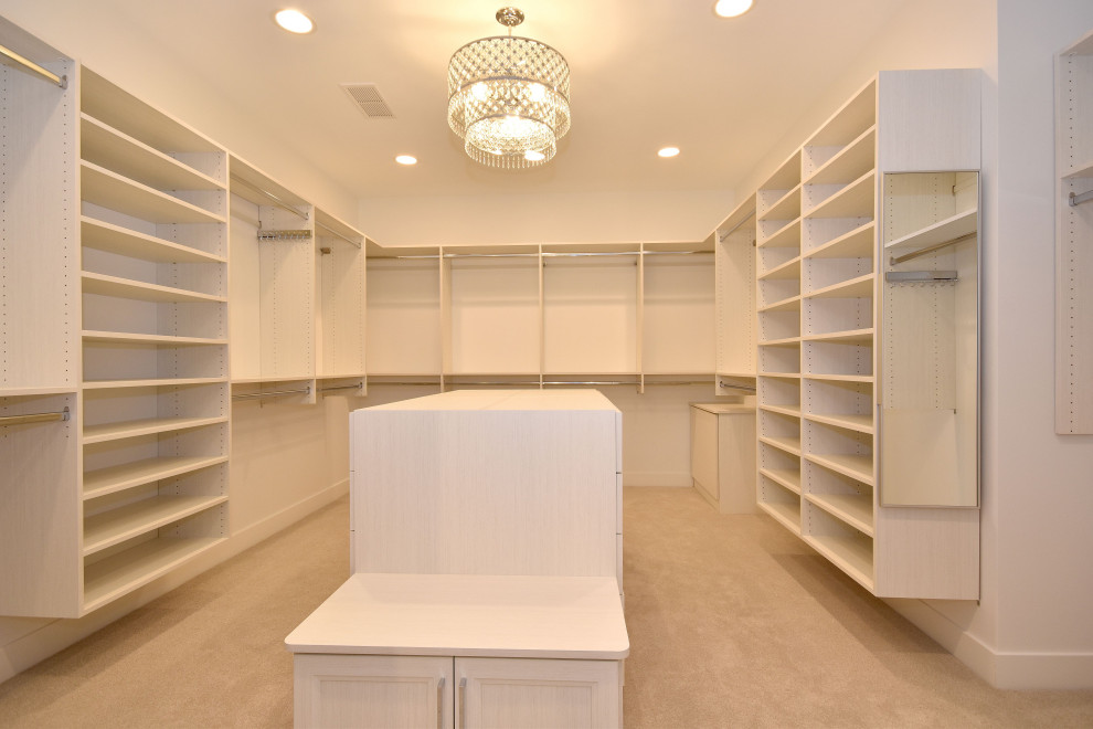 Modern Custom Home in Norridge - Modern - Closet - Chicago - by Mondo ...