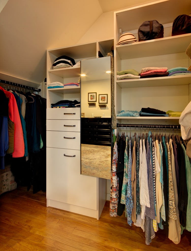 Walk-In Closet w/ Pull Out Mirror - Traditional - Closet - New York ...