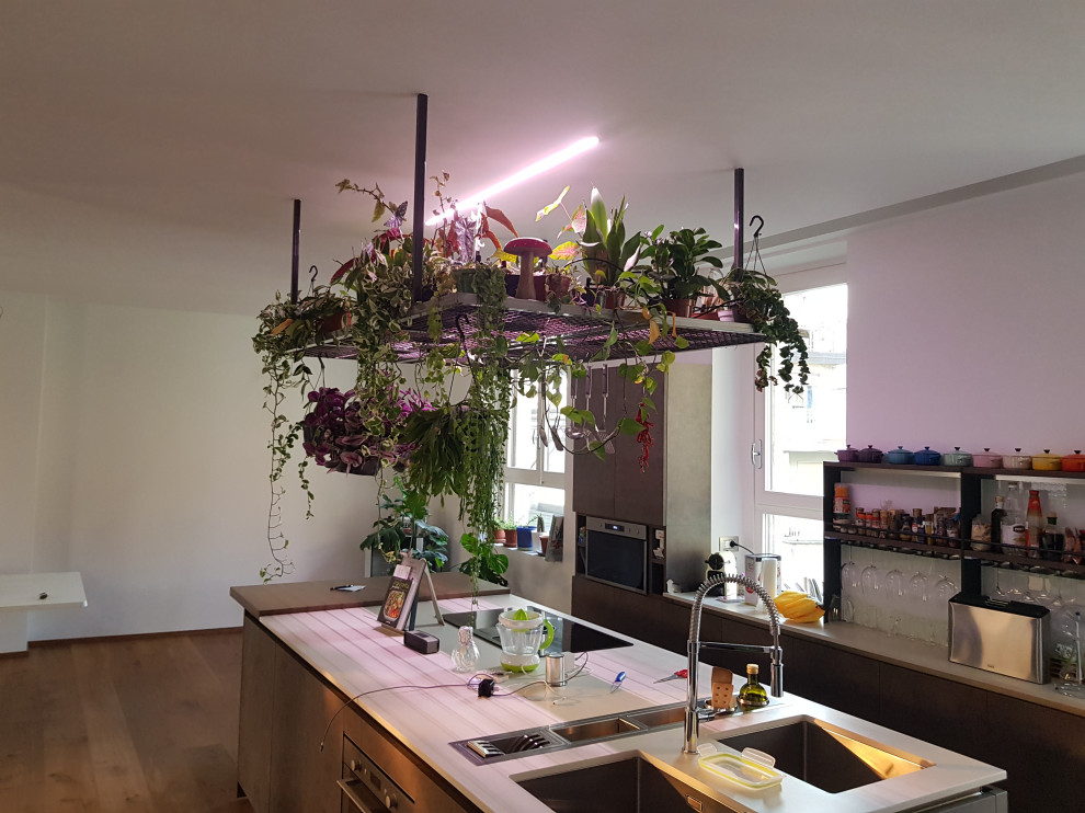 Coltivazione Piante ed erbe aromatiche in cucina - Modern - Kitchen ...