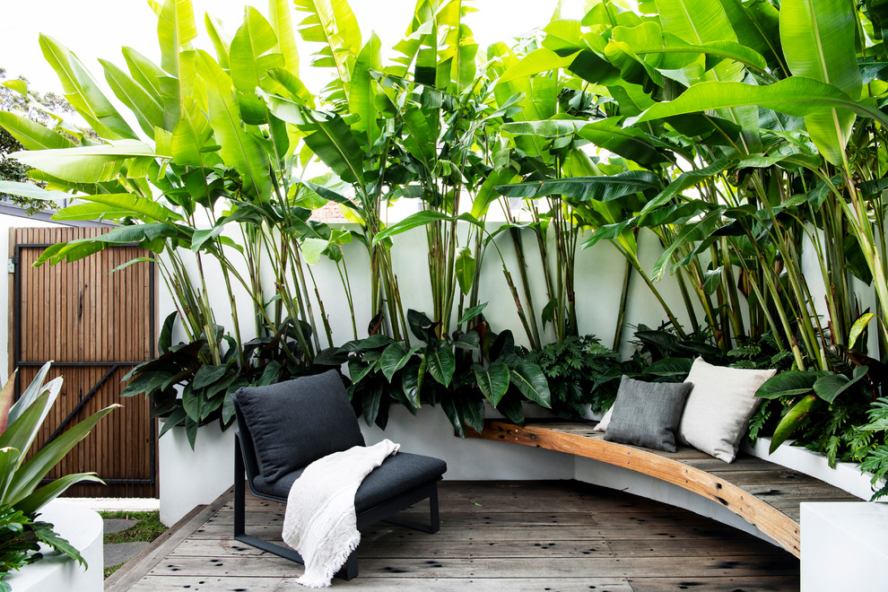 Balmain - Inner city garden - Contemporary - Deck - Sydney - by sticks ...