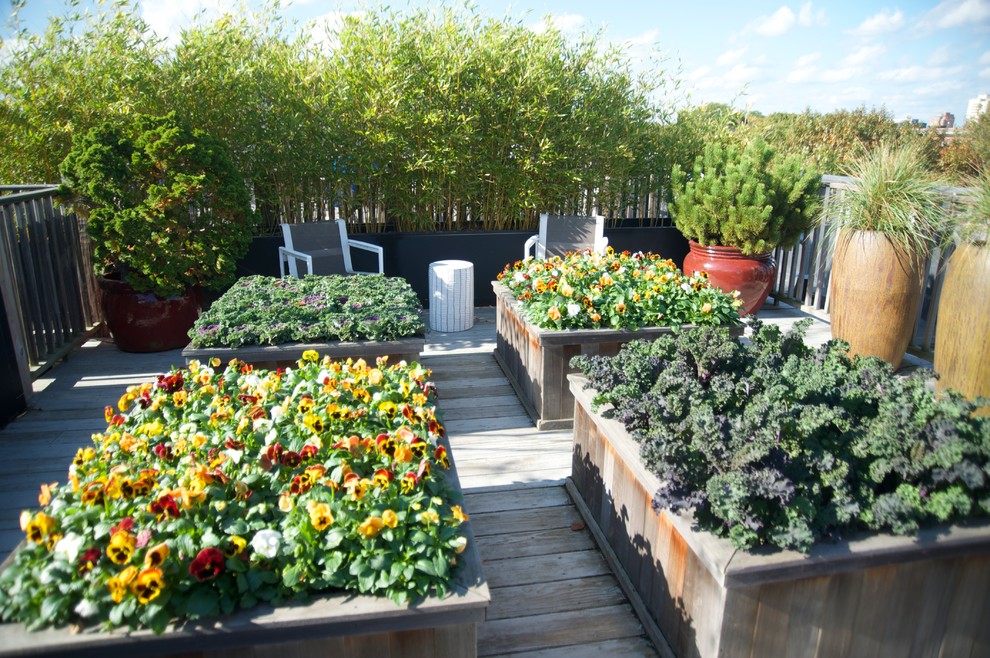 Cambridge, MA Rooftop Garden - Contemporary - Deck - Boston - by Jean ...