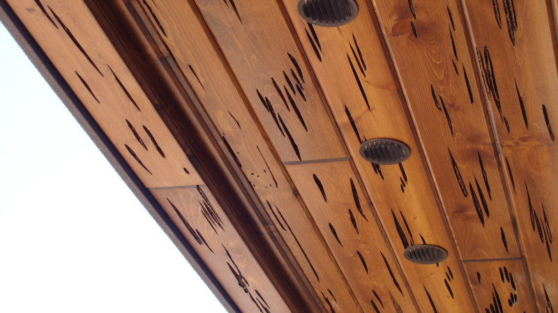 Concealed Systems - Traditional - Deck - Denver - by Colorado Deck ...