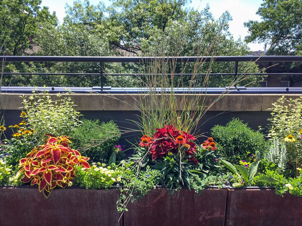 DC ROOF DECK - Modern - Deck - DC Metro - by ARCHI-TEXTUAL, PLLC | Houzz