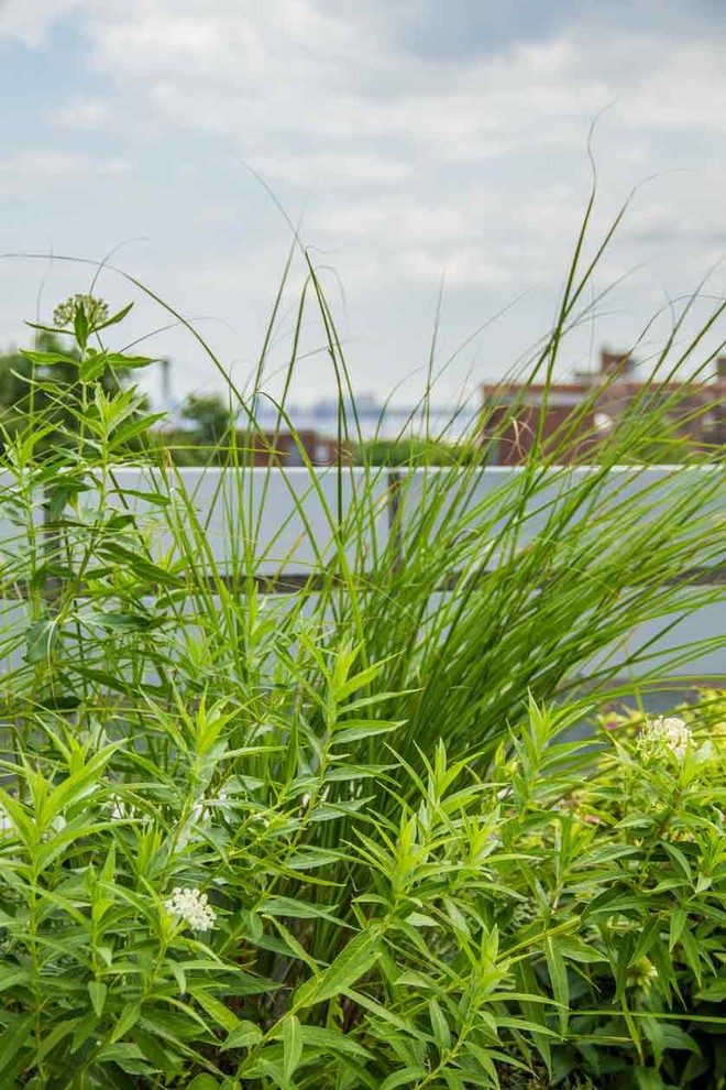 Downtown Brooklyn Gardens - Modern - Deck - New York - by Greenery NYC ...
