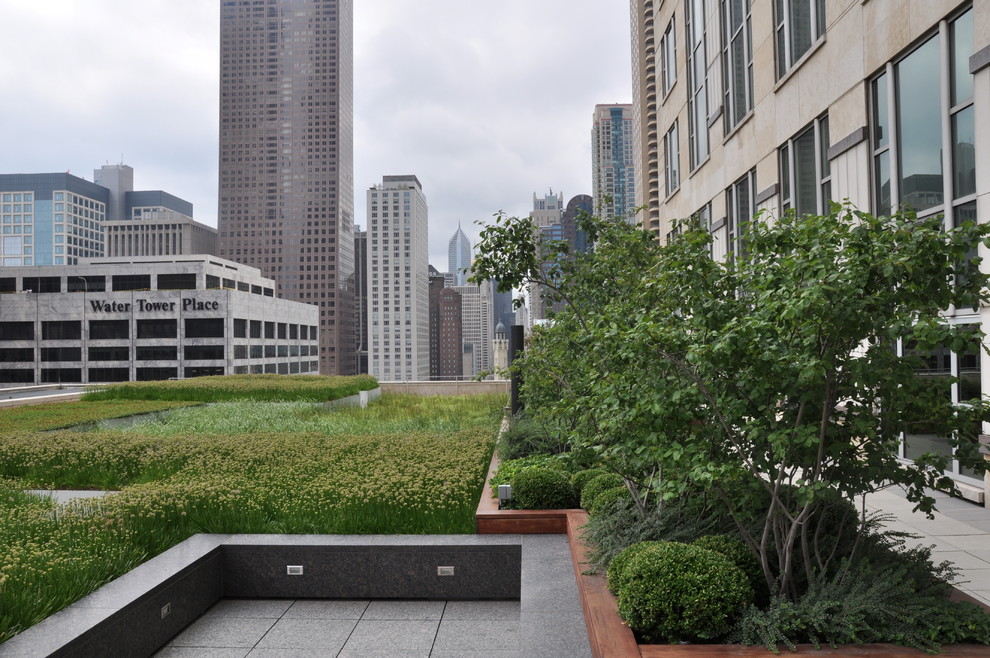 Downtown Green Roof - Minimalistisch - Terrasse - Chicago - von Christy ...