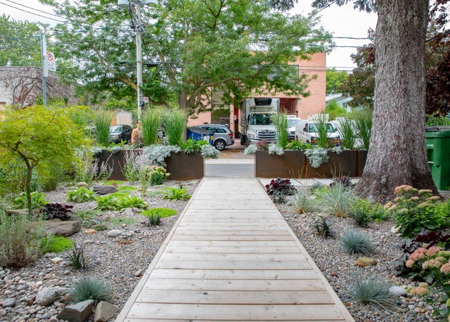 A Toronto Front Yard Gains Style and a Taste of the Southwest