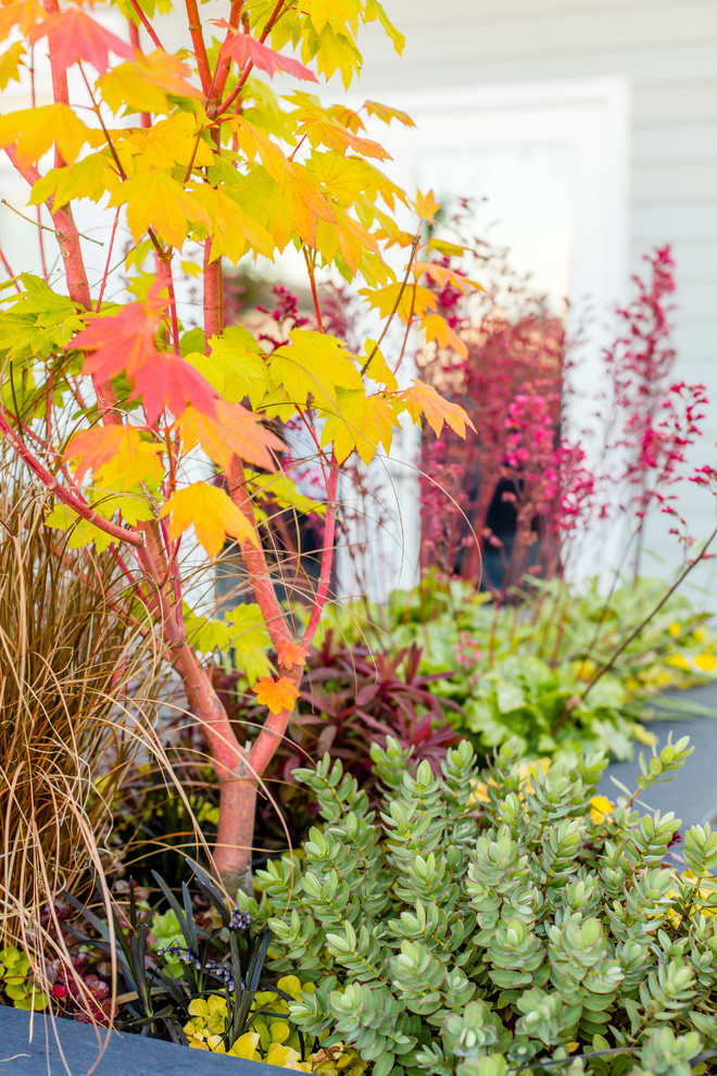 Seattle Urban Living - Modern - Terrasse - Seattle - von SCJ Studio ...