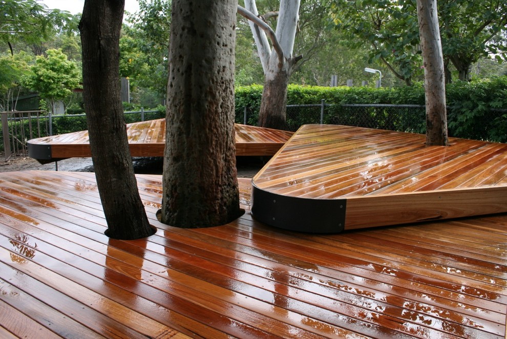 Spotted Gum Timber Decks built into the trees - Modern - Deck ...