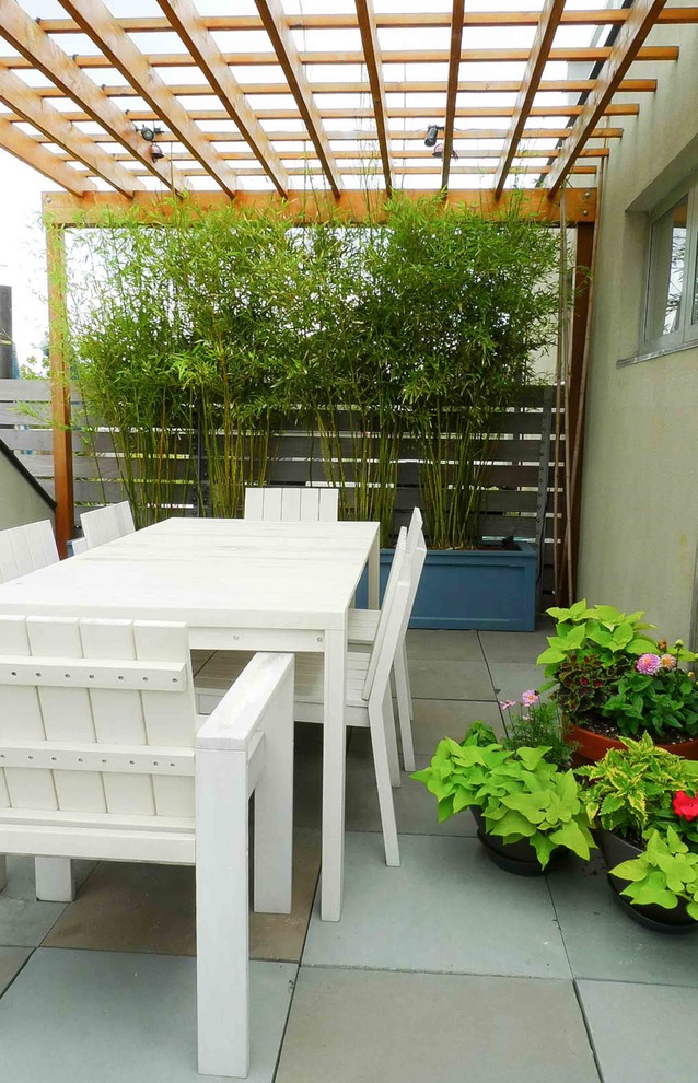 Union Street Roof Terrace with Best View - Terrace - New York - by ...