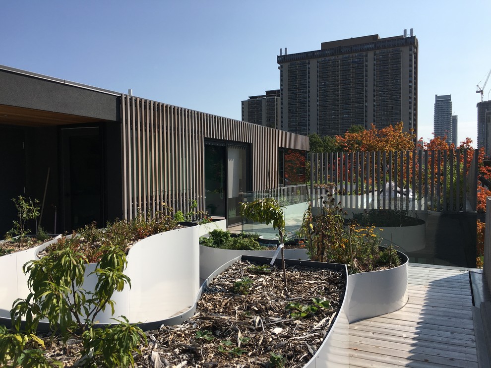 Urban Farm - Contemporary - Deck - Toronto - by E-Z Fine Carpentry | Houzz