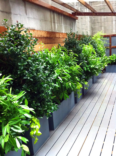 Village Roof Garden: Asian Shoji Screen, Terrace Deck, Containers ...