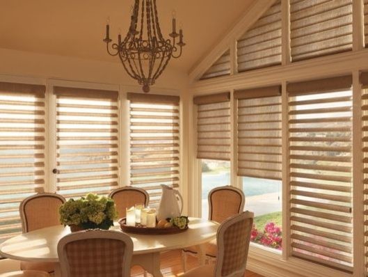 Angled Window Treatments by Hunter Douglas - Traditional - Dining Room ...