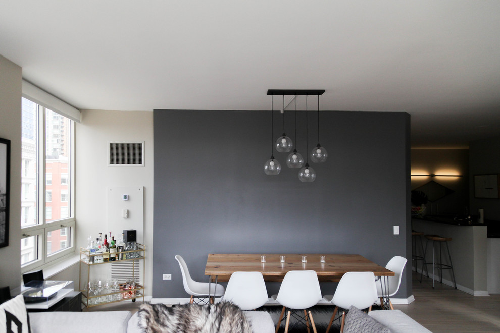 My Houzz: Modern Minimalistic & Globally Inspired Chicago High Rise ...