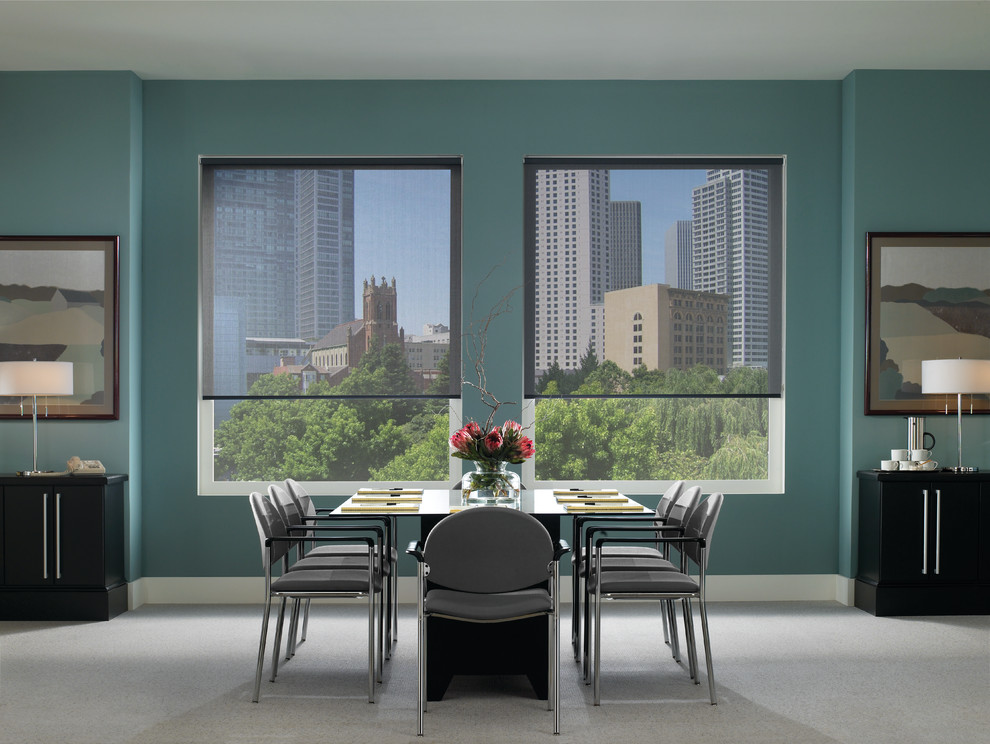 Roller Blinds - Contemporary - Dining Room - Denver - by DSC Window ...